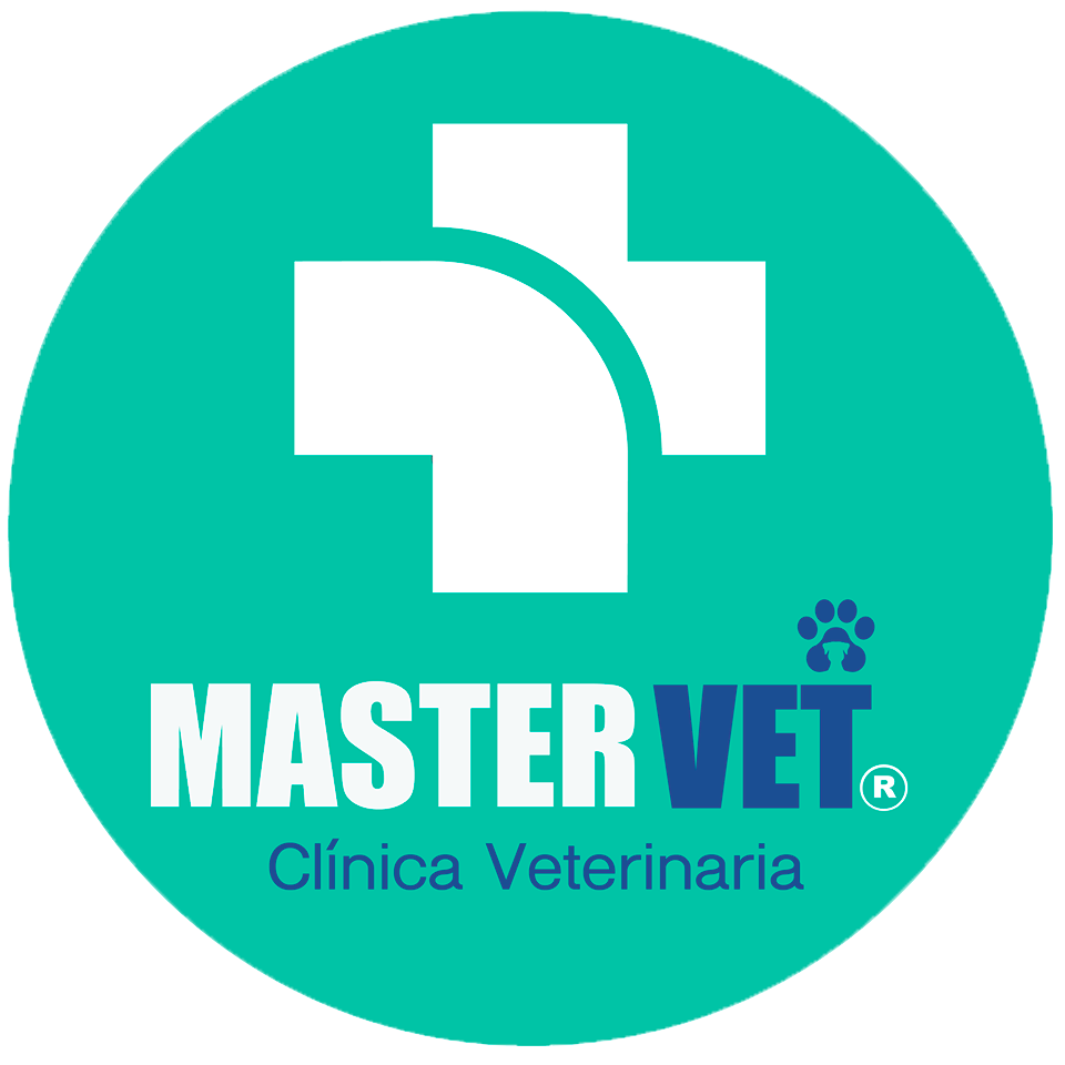 Inicio - MasterVet