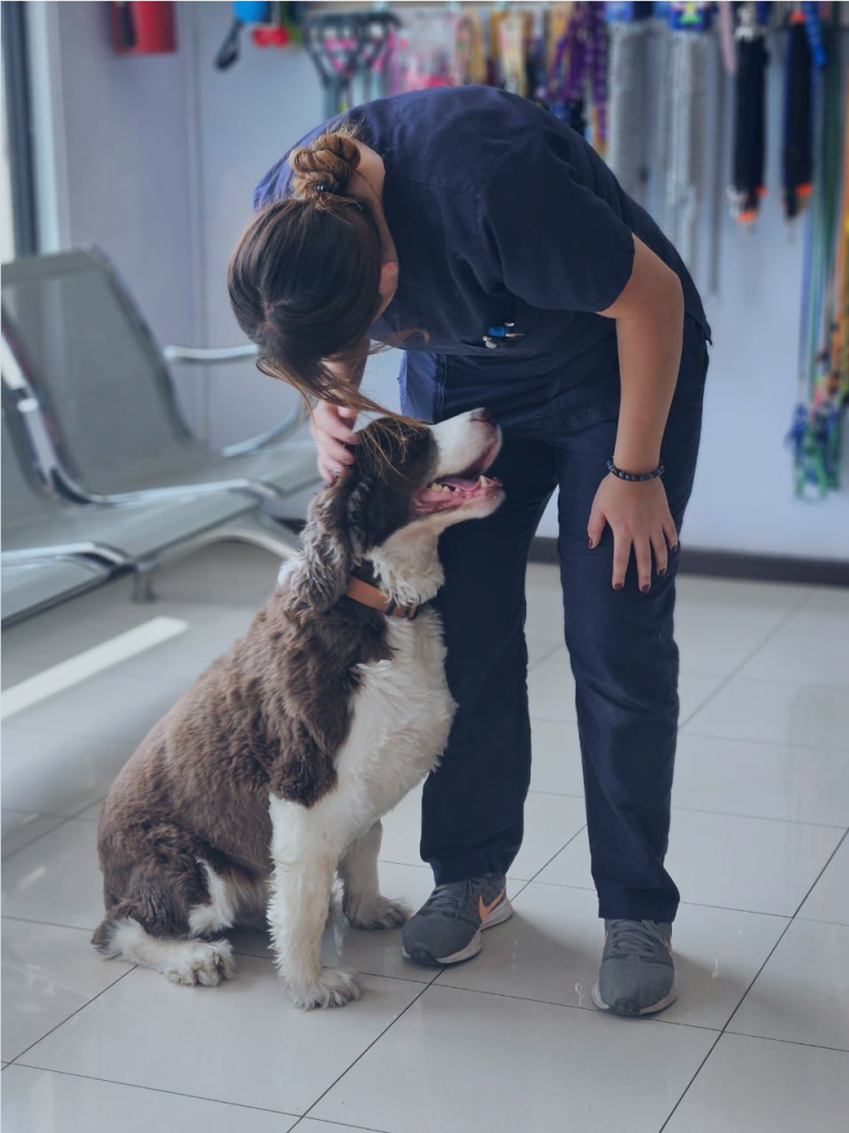 Nosotros - MasterVet Clínica Veterinaria